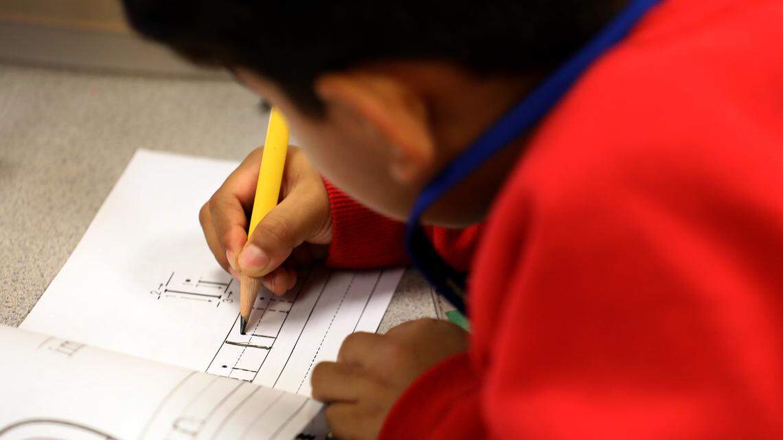 Richland, Pasco and Kennewick seek 2026 schools levy renewal | Tri-City Herald